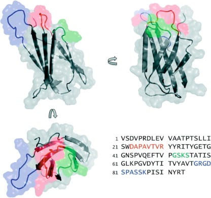Reagents and Protocols – The Wittrup Lab